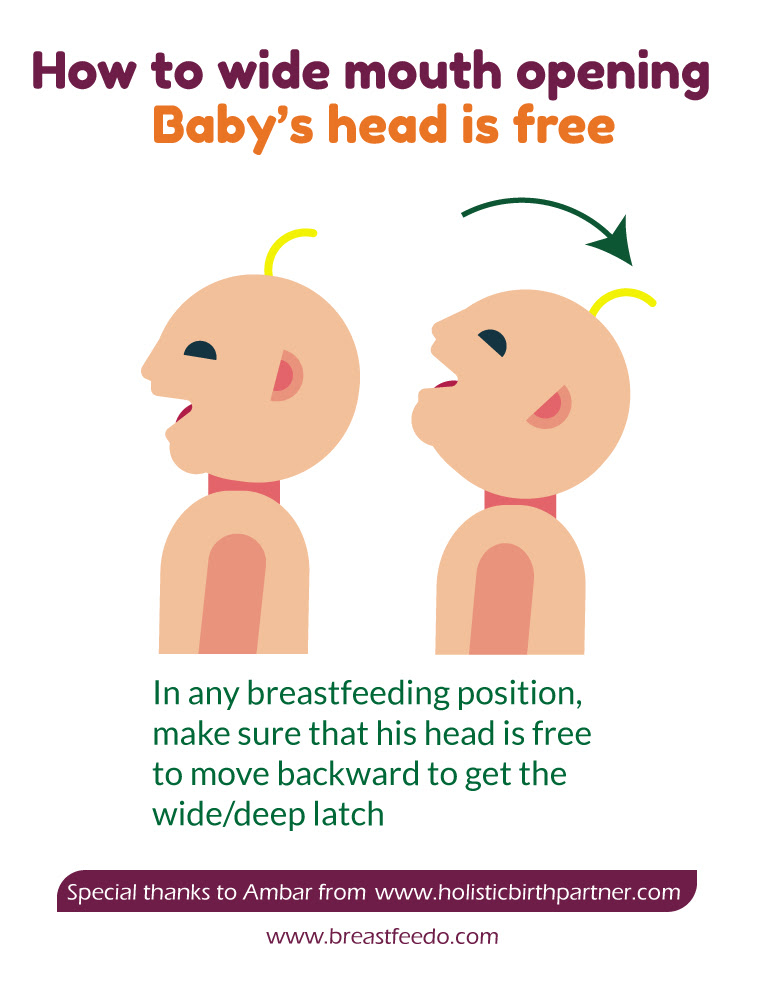 2018 Baby latching tips for breastfeeding – The visual guide from the ...