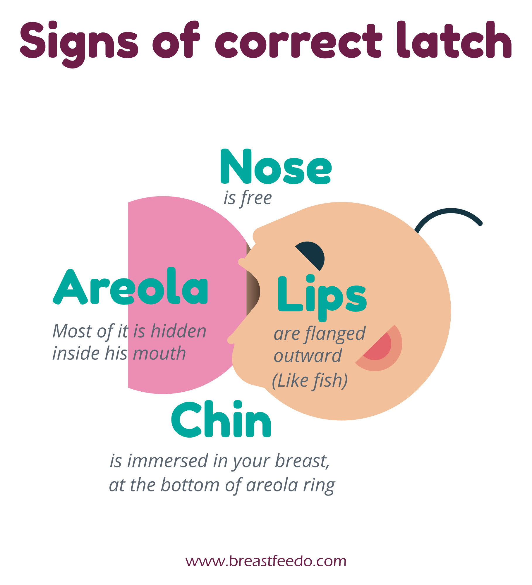2018 Baby latching tips for breastfeeding – The visual guide from the ...